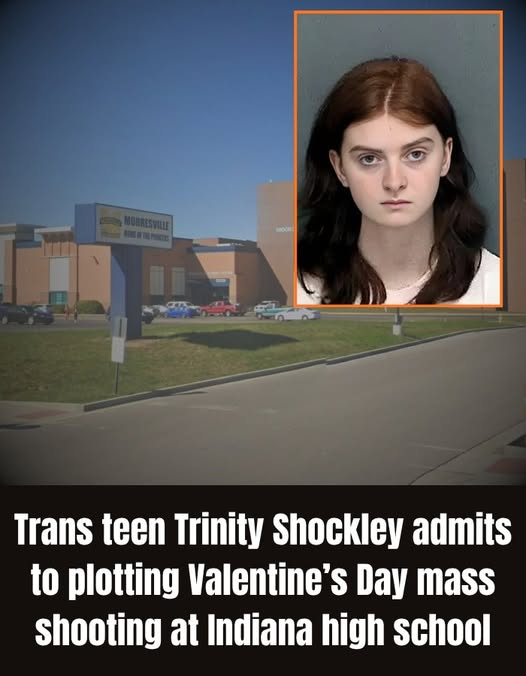 Trans teen Trinity Shockley admits to plotting Valentine’s Day mass ...