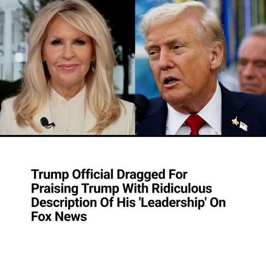 Trump Official Dragged For Praising Trump With Ridiculous Description ...