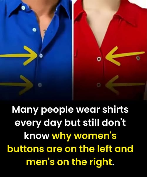 The Real Reason Women’s Shirts Button Differently from Men’s ...