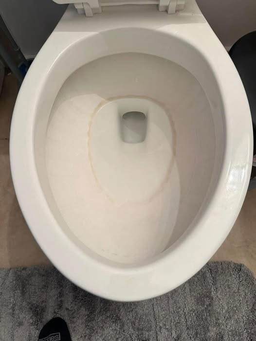 How to Clean Toilet Bowl Hard Water Stains with a Single Product ...