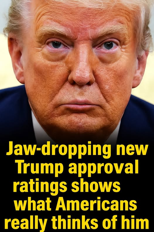Fresh Trump Approval Poll Shows What the U.S. Truly Believes ...