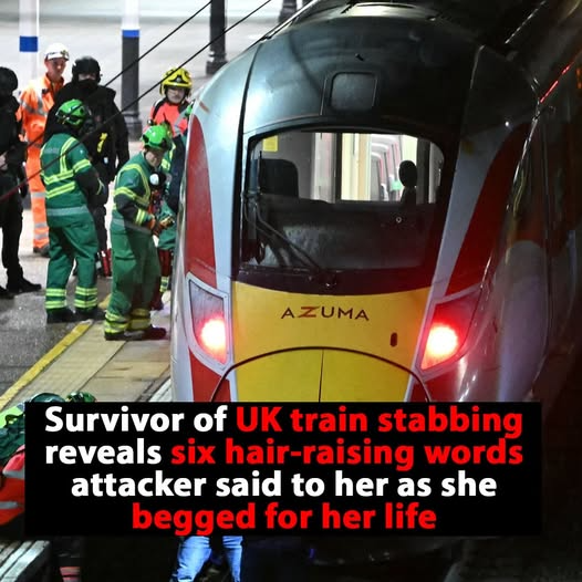 UK train stabbing survivor shares attacker’s 6-word message - Weveryday ...