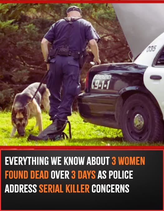 Everything we know about 3 women found dead over 3 days as police ...