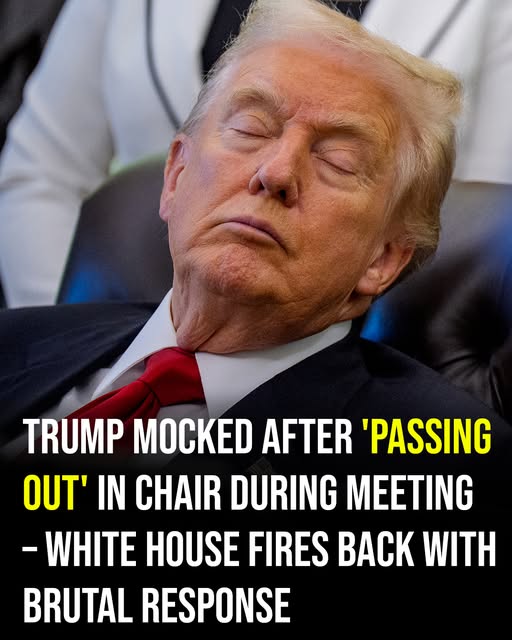 Trump mocked as ‘Dozy Don’ after photo – White House issues scathing ...