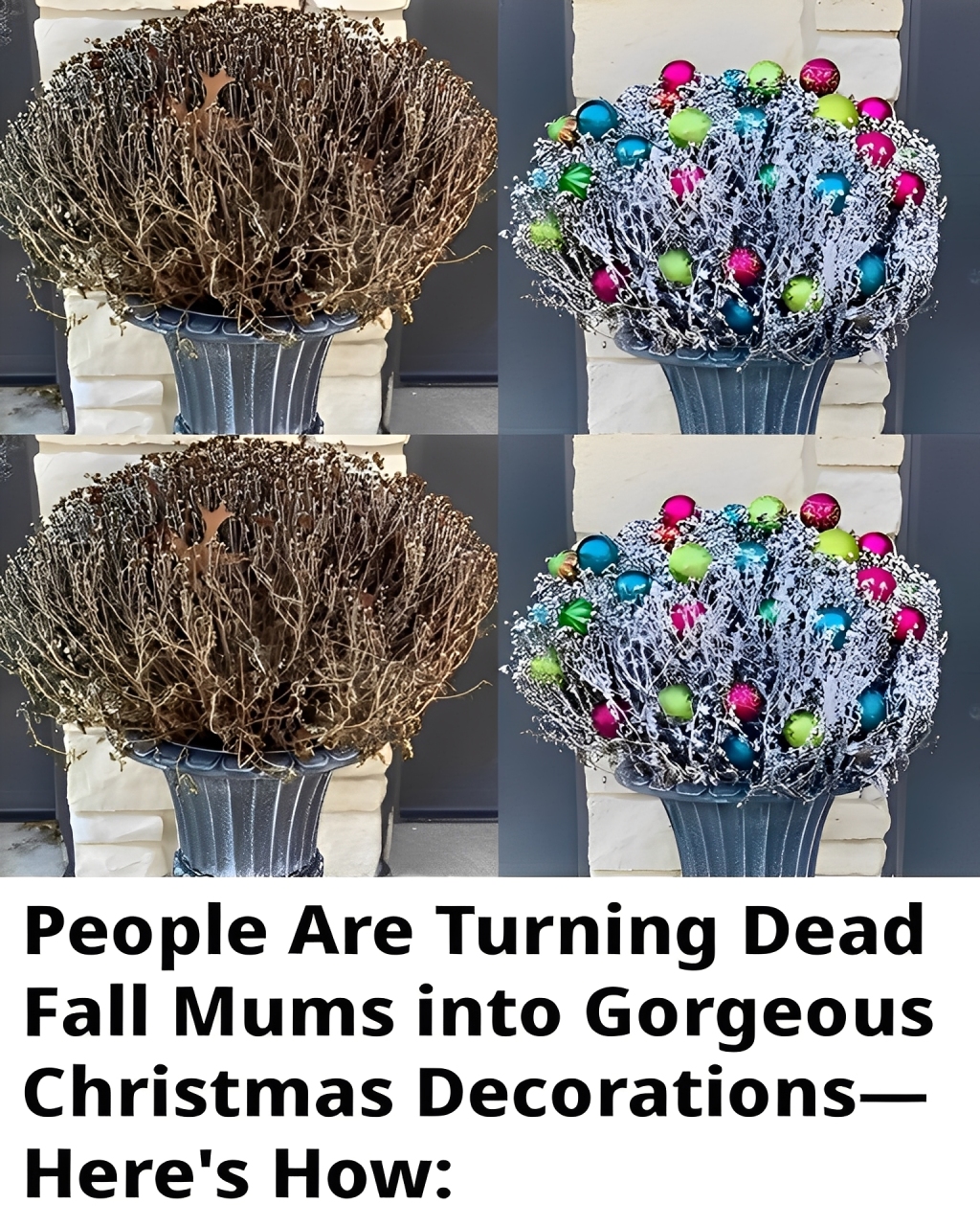 A guide to transforming mums into festive ornaments. - Weveryday Stories