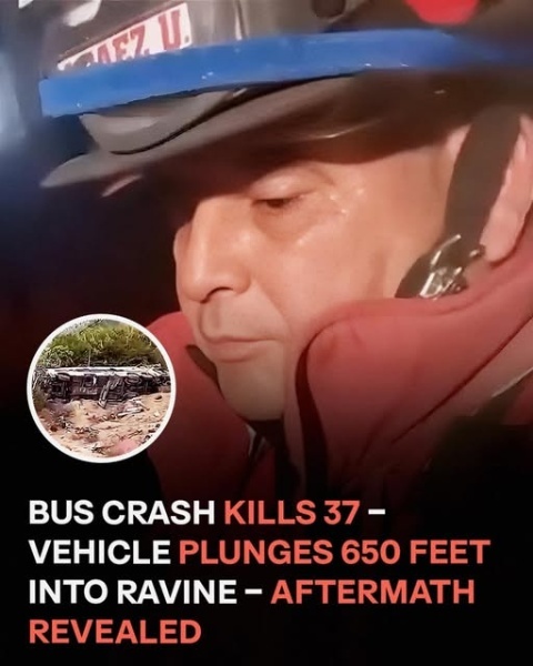 Tragic Bus Collision Claims 37 Lives – What We Know - Weveryday Stories