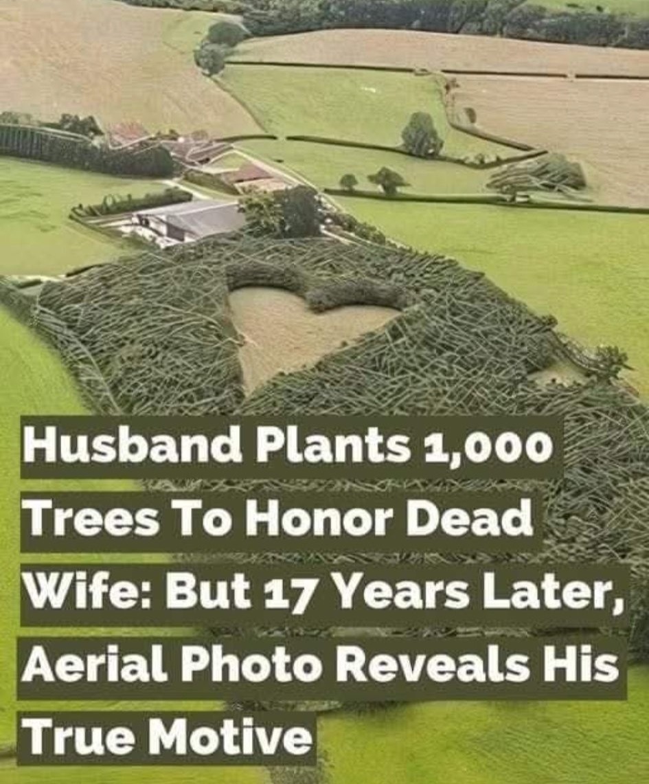 Farmer Plants 1000 Oak Trees - Weveryday Stories