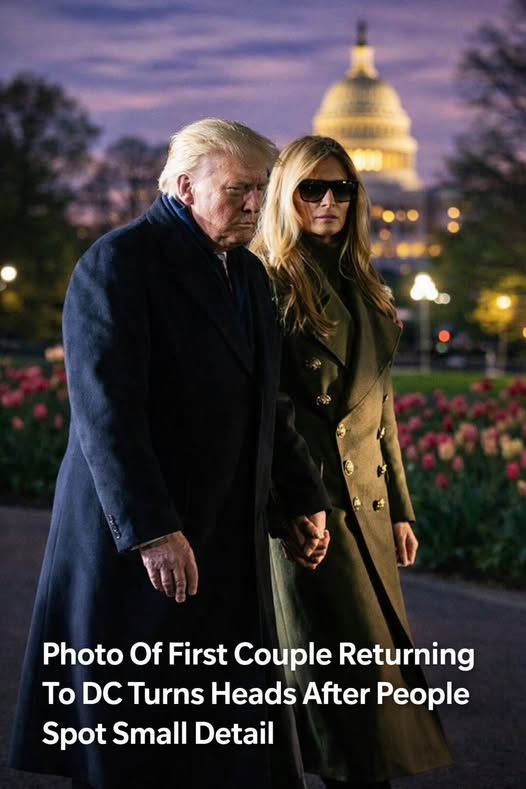 Photo Of First Couple Returning To DC Sparks Online Reactions Over ...