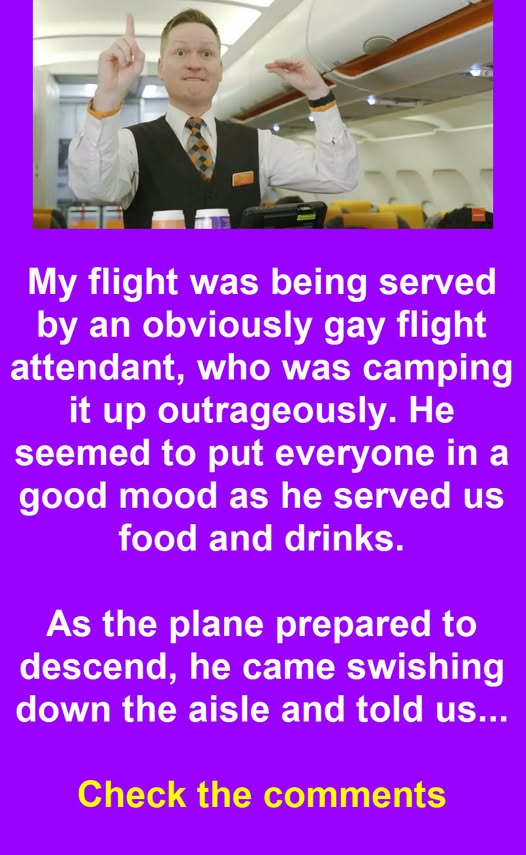 Funny Flight Attendant Stories