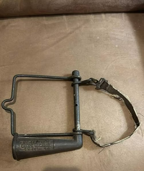 The Horse Drencher: A Brass Tool That Helped Shape Early Veterinary ...