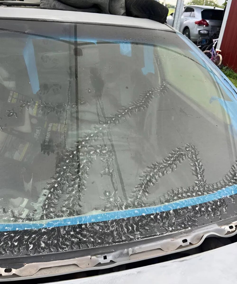 I noticed odd marks on my car, and discovering their source completely ...