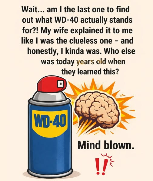 The True Meaning of WD-40 Surprises Many People - Weveryday Stories