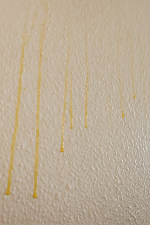 Seeing Yellow Drips on Your Bathroom Walls? Here’s What’s Likely ...