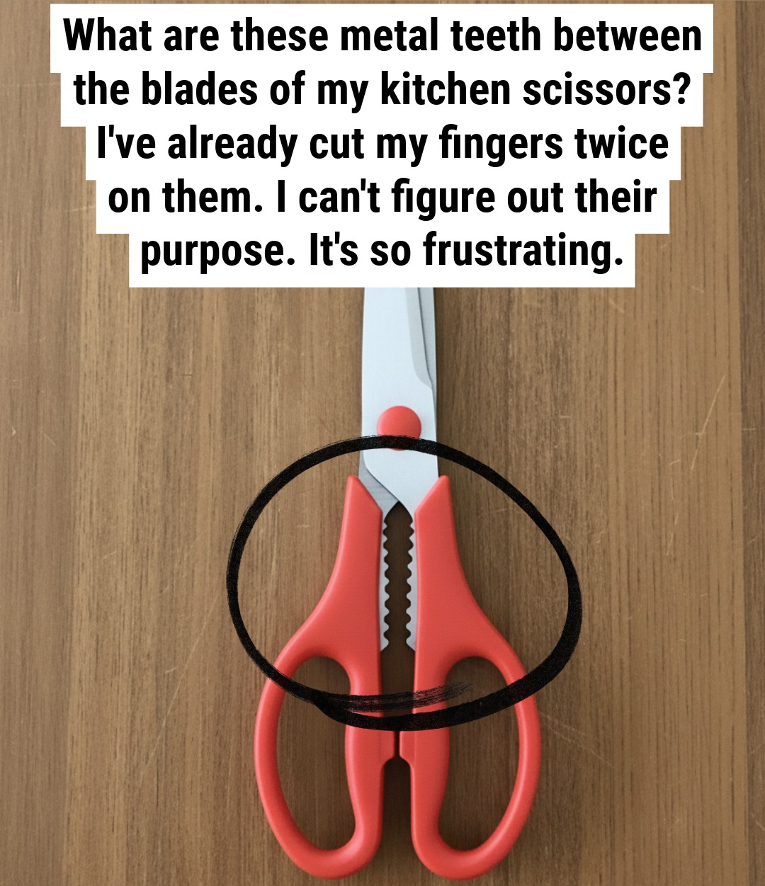 What’s the purpose of that jagged section on kitchen scissors ...
