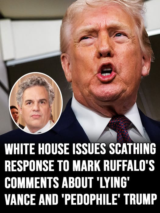 White House issues scathing response to Mark Ruffalo’s comments about ...