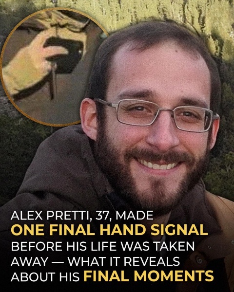 The full sequence of events before Alex Pretti was fatally shot has now ...