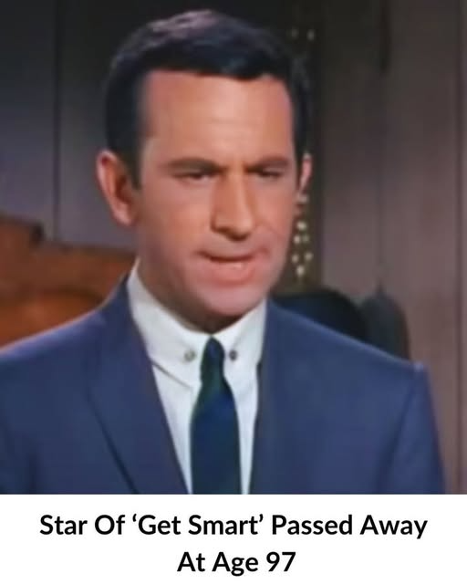 Star Of ‘Get Smart’ Passed Away At Age 97 - Weveryday Stories