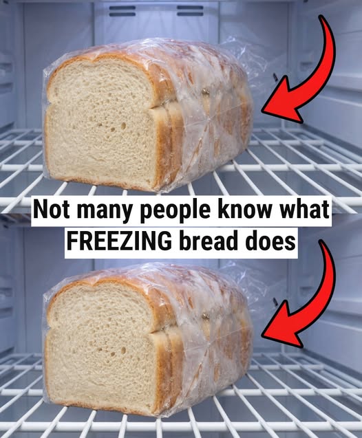 How to Freeze Bread Without Losing Freshness - Weveryday Stories