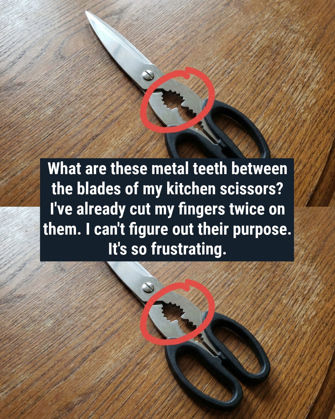 What Is That Serrated Part on Kitchen Scissors Used For? - Weveryday ...