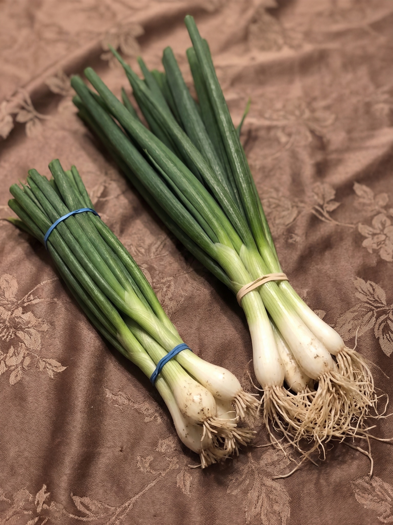 Green Onions vs. Scallions vs. Spring Onions vs. Chives: What’s the ...
