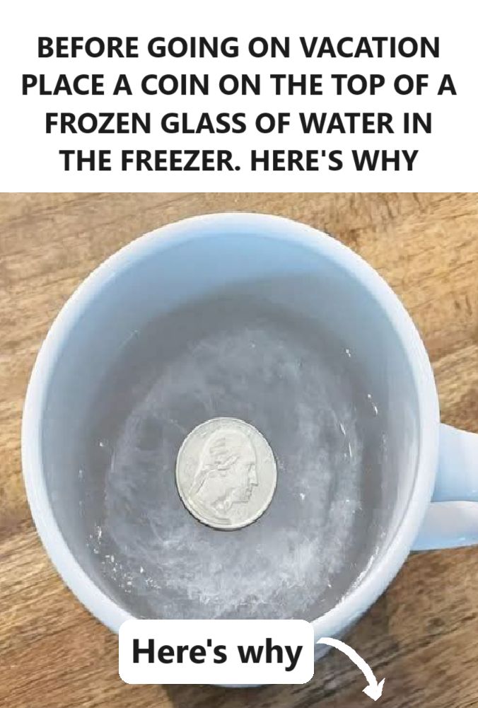 The Freezer Coin Trick: A Simple Hack to Keep Your Food Safe ...