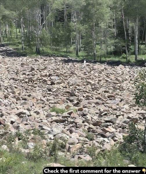 Test Your Observation Skills with This Clever Optical Illusion ...