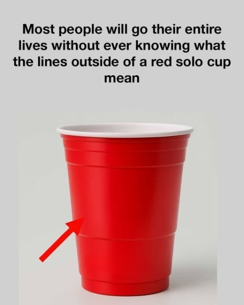 The Red Solo Cup: Secrets Behind an American Icon - Weveryday Stories