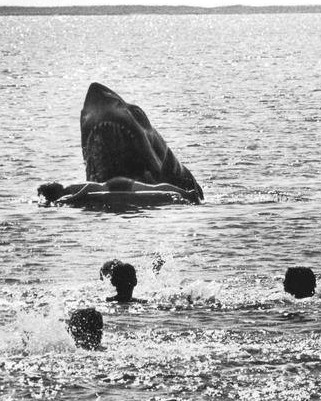 Inside the Deleted Scene From Jaws: What Actually Occurred - Weveryday ...
