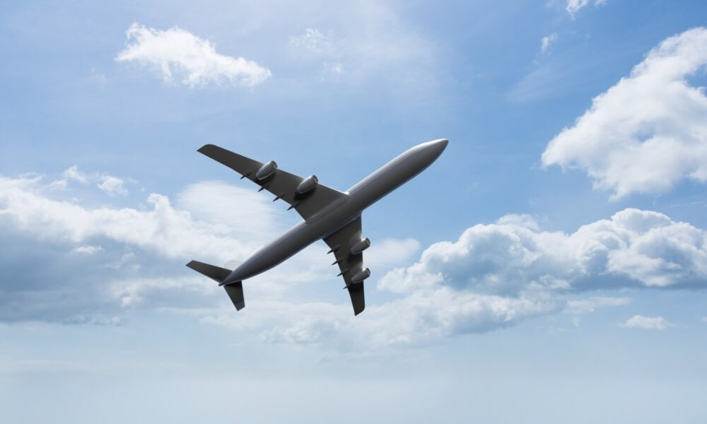 A Woman Loses Her Husband In A Plane Crash – Years Later She ...