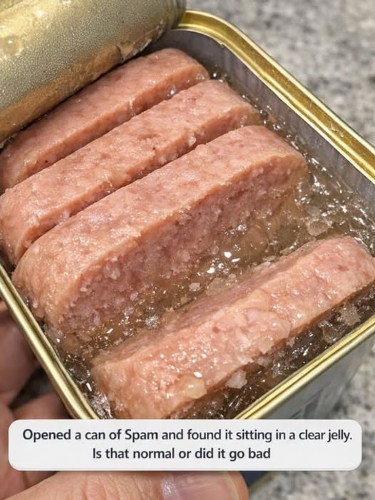 Opened a Can of Spam and Found Clear Jelly? Here’s What It Really Means ...