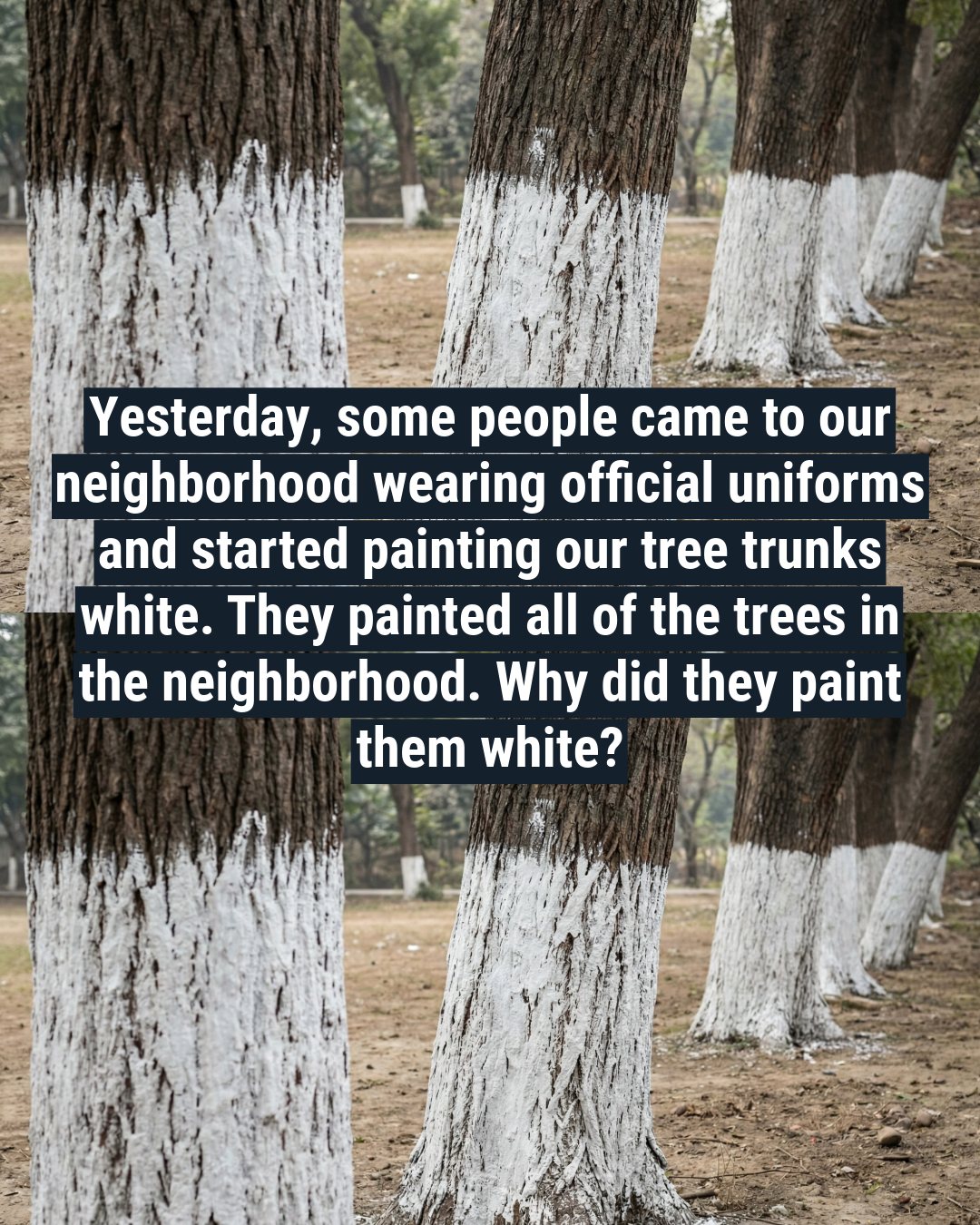 Why Some Trees Are Painted White and What It Means - Weveryday Stories